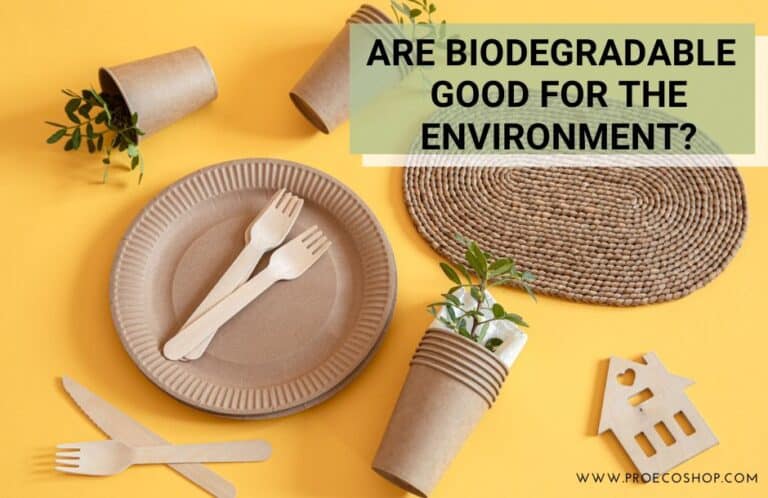 How Do Biodegradable Substances Affect Our Environment? - proecoshop