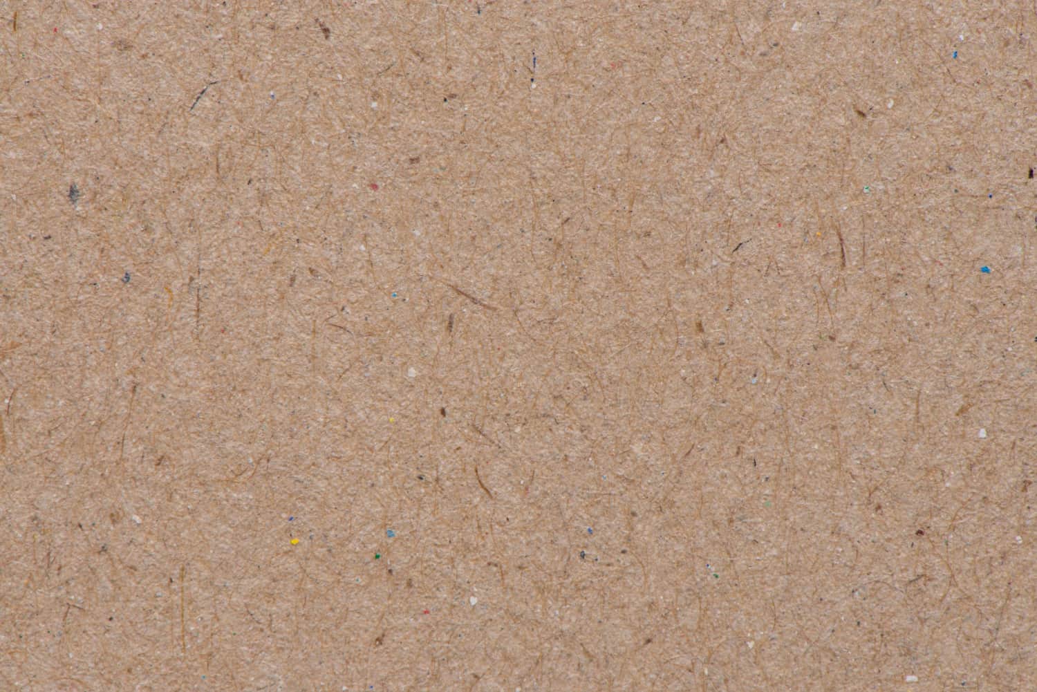 All You Need to Know About Eco-Friendly Paper Sources - proecoshop