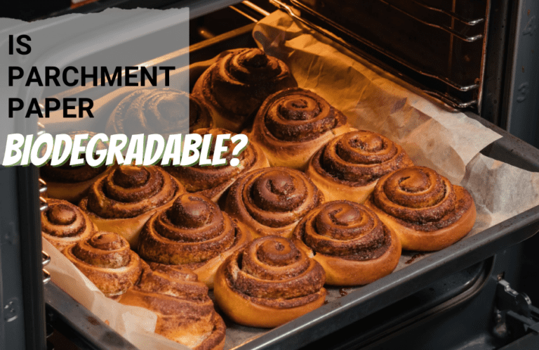 Sustainable Cooking: Is Parchment Paper Biodegradable? - proecoshop